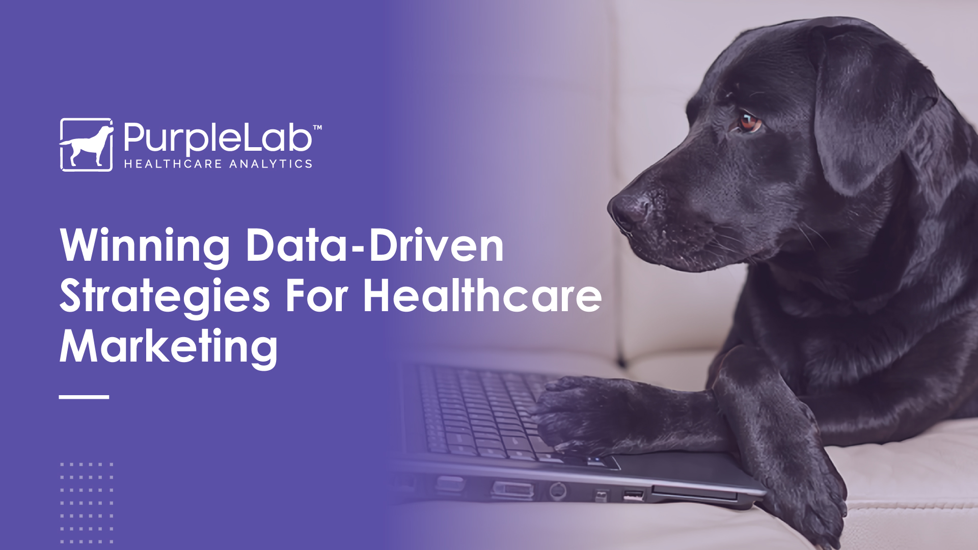 The Importance of Implementing Data-Driven Strategies in Your Healthcare Marketing Campaigns ...